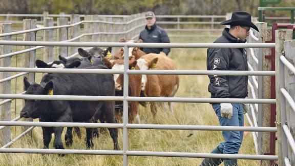 Local | Turtleford & District Co-op